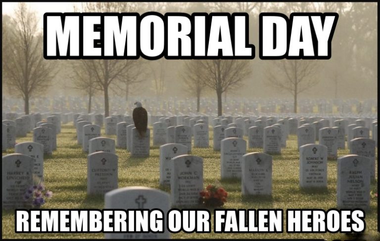 25+ Best Memorial Day Meme | Veterans Memes | Memorial Day 2025 Weekend ...