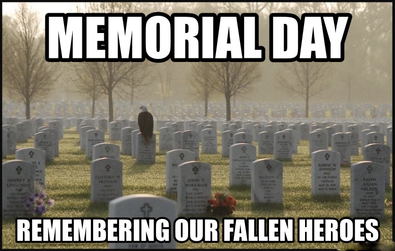 25+ Best Memorial Day Meme | Veterans Memes | Memorial Day 2024 Weekend ...